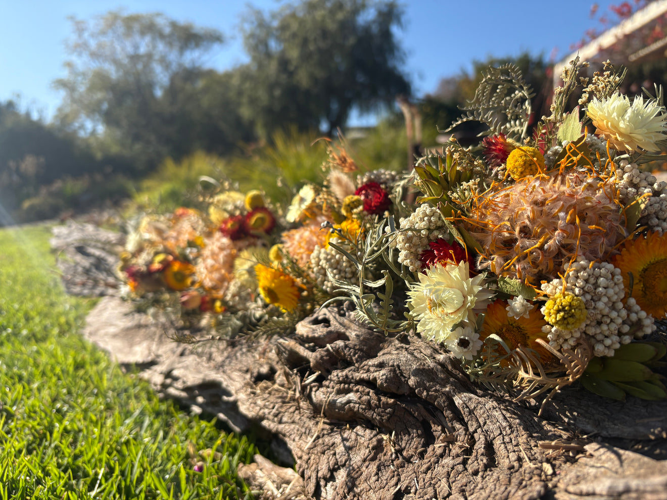 Everlasting Floral Studio/ Dried Native Flowers from Victoria